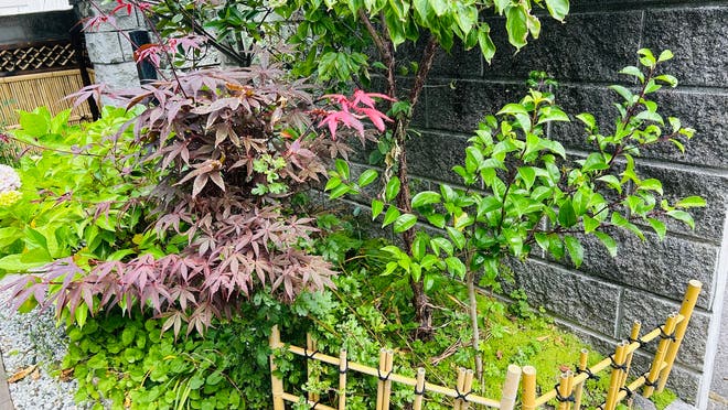 広い一軒家の一階部分貸し出し、高松駅、港徒歩5分、スーパー1分、海、浜辺2分。の写真4