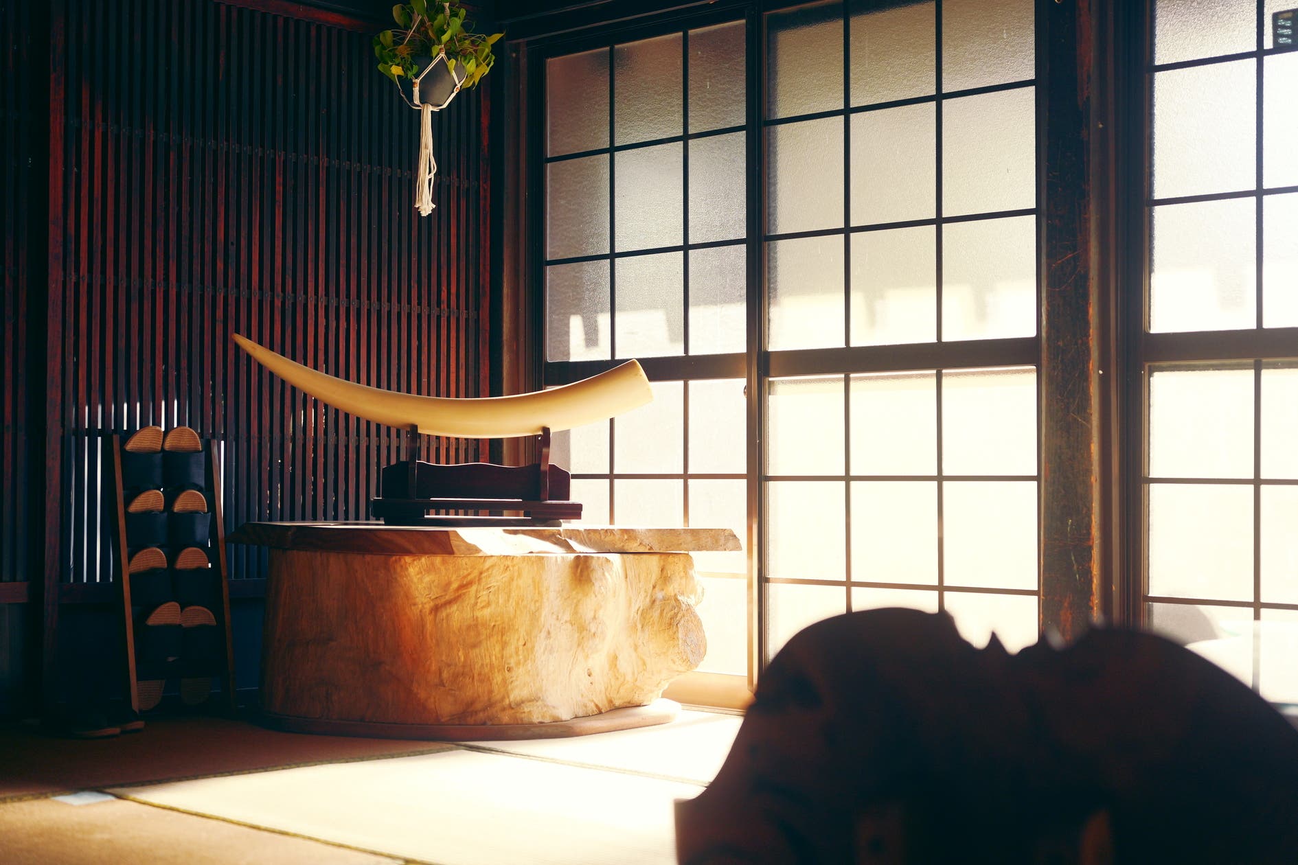 【山梨・大月】築150年超の古民家「えんがわ / engawa」｜自然光溢れる縁側と和室と庭｜撮影・ロケ・ワークショップなどにの写真6