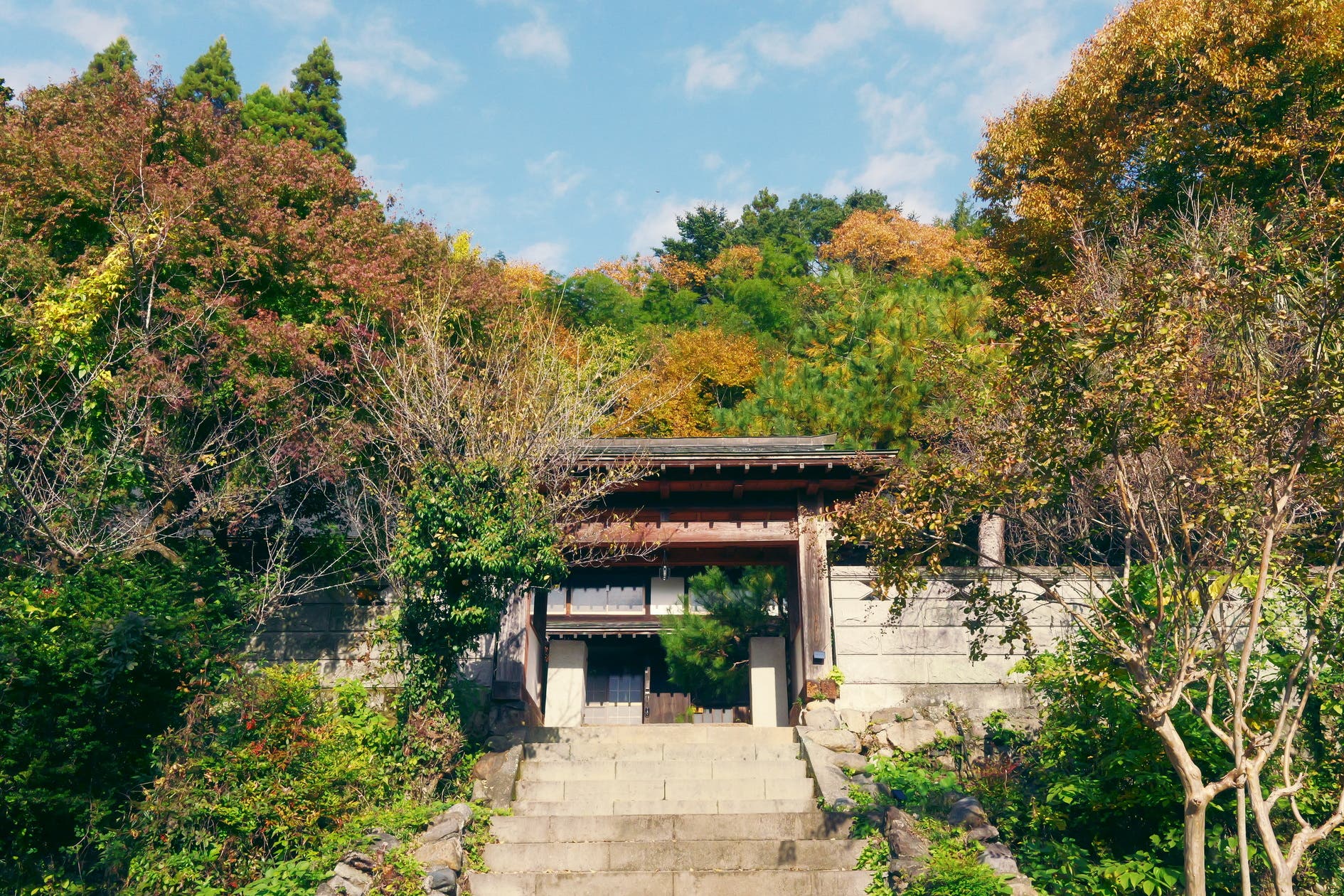 【山梨・大月】築150年超の古民家「えんがわ / engawa」｜自然光溢れる縁側と和室と庭｜撮影・ロケ・ワークショップなどにの写真4