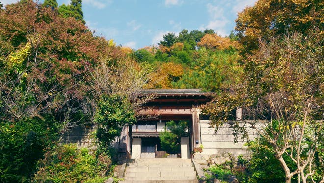 【山梨・大月】築150年超の古民家「えんがわ / engawa」|自然光溢れる縁側と和室と庭|撮影・ロケ・ワークショップなどにの写真4