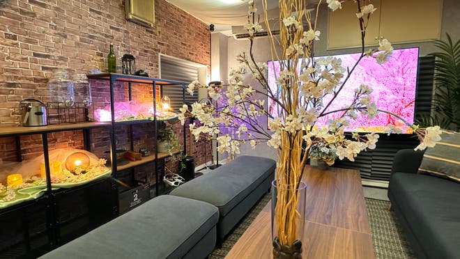 🌸インドア花見開催中!!🌸神田駅徒歩5分🚃本格電気式ピザ窯🍕75インチ大画面テレビ📺 14名ソファー席🛋️の写真1