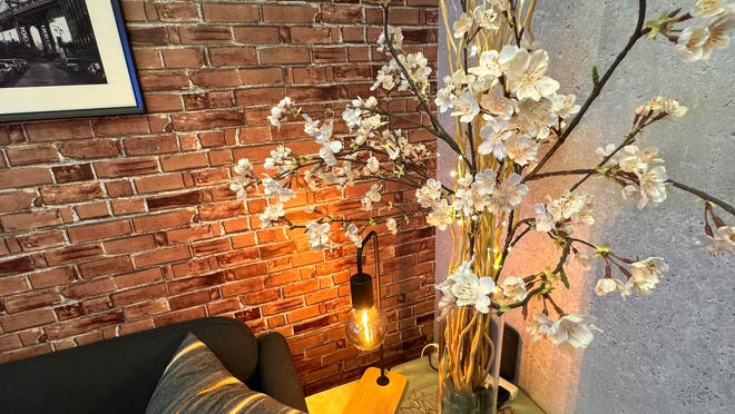 🌸インドア花見開催中!!🌸神田駅徒歩5分🚃本格電気式ピザ窯🍕75インチ大画面テレビ📺 14名ソファー席🛋️の写真7