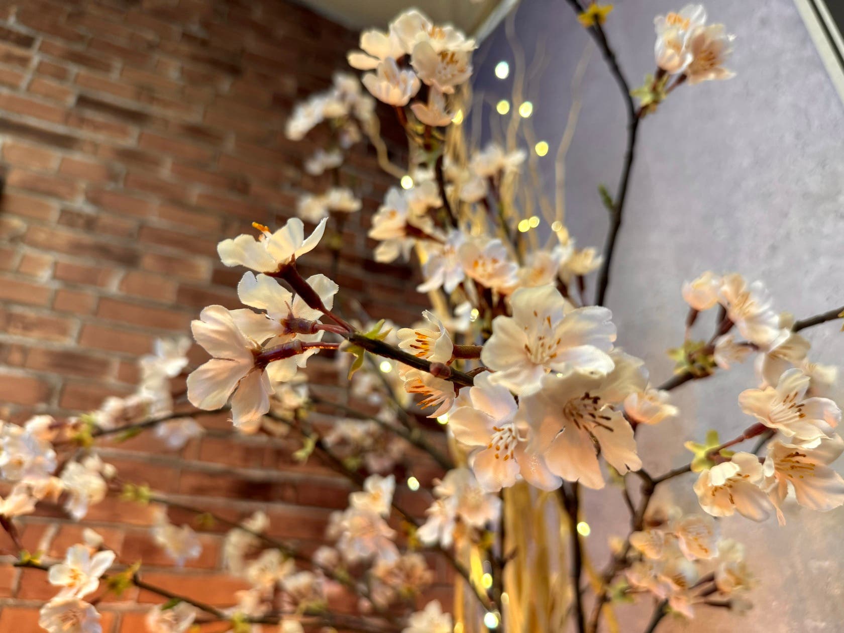 🌸インドア花見開催中!!🌸神田駅徒歩5分🚃本格電気式ピザ窯🍕75インチ大画面テレビ📺 14名ソファー席🛋️の写真8