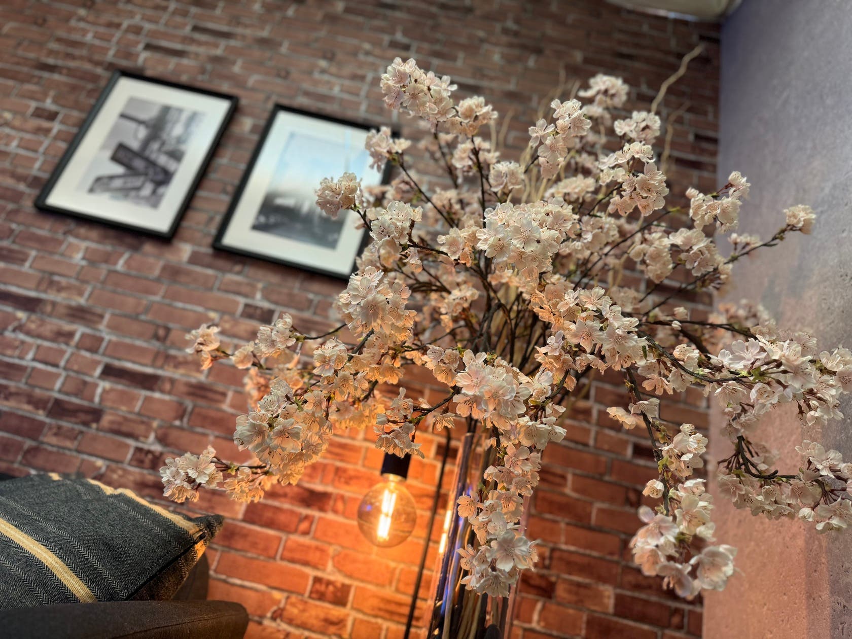 🌸インドア花見開催中!!🌸神田駅徒歩5分🚃本格電気式ピザ窯🍕75インチ大画面テレビ📺 14名ソファー席🛋️の写真6