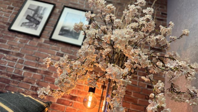 🌸インドア花見開催中!!🌸神田駅徒歩5分🚃本格電気式ピザ窯🍕75インチ大画面テレビ📺 14名ソファー席🛋️の写真6