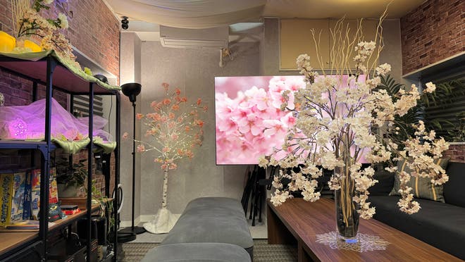 🌸インドア花見開催中!!🌸神田駅徒歩5分🚃本格電気式ピザ窯🍕75インチ大画面テレビ📺 14名ソファー席🛋️の写真2