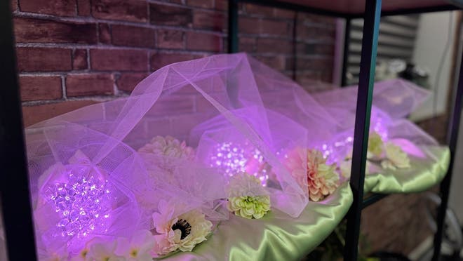 🌸インドア花見開催中!!🌸神田駅徒歩5分🚃本格電気式ピザ窯🍕75インチ大画面テレビ📺 14名ソファー席🛋️の写真5