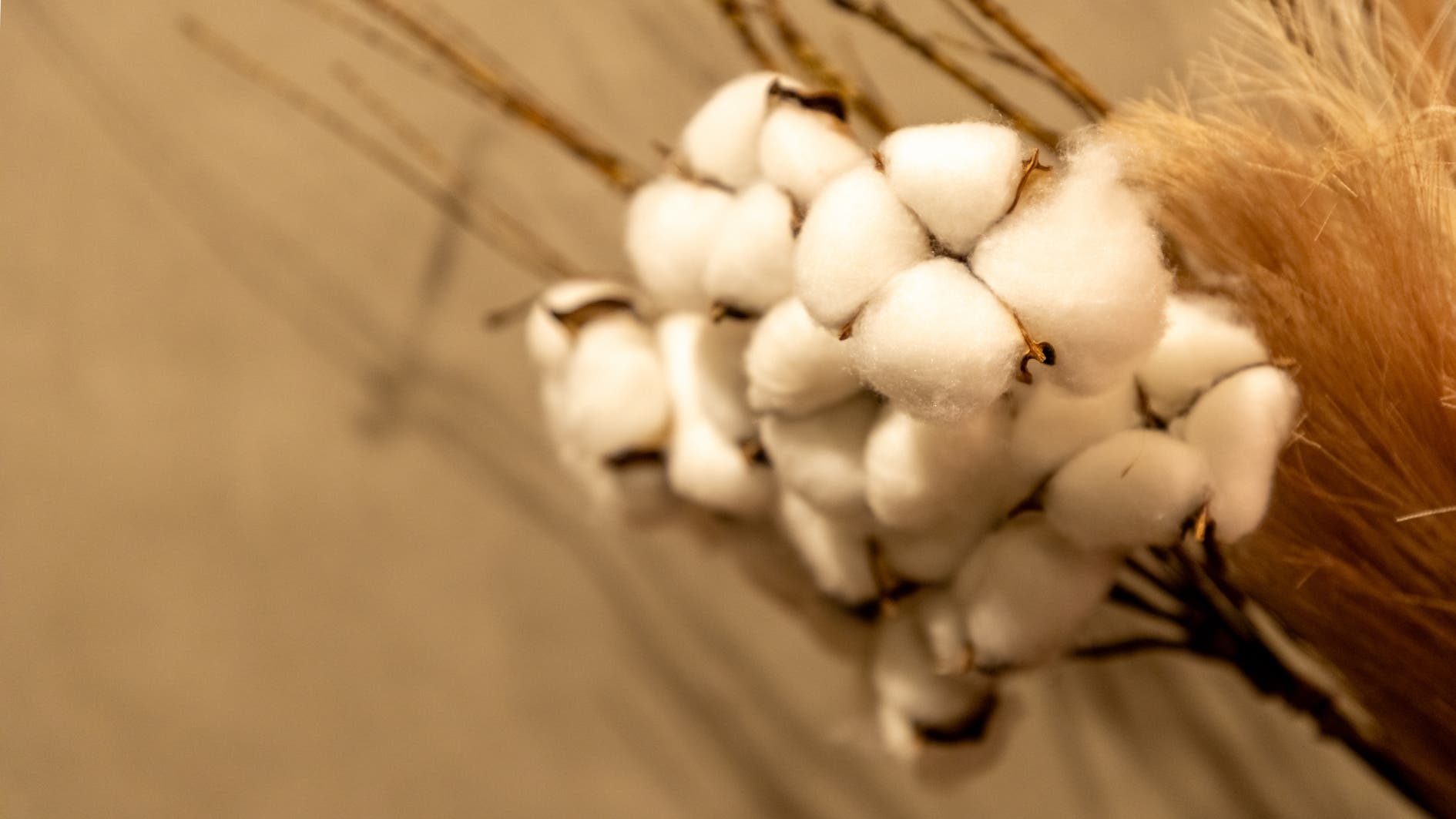 スペモ🥀デート💗プロジェクター🎥記念日🥂女子会💎パーティ🥂映画鑑賞🎬️MV撮影📸823_Atelier大阪梅田の写真20