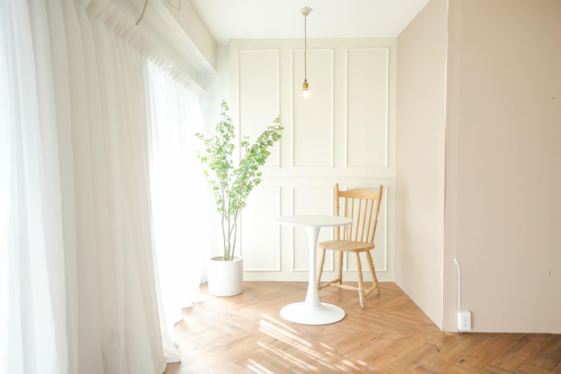 OPEN記念割🌿自然光差し込む撮影スタジオ☀️背景6種×撮影機材📸千駄ヶ谷｜バースデーフォト、推し活、ポートレート撮影の写真9