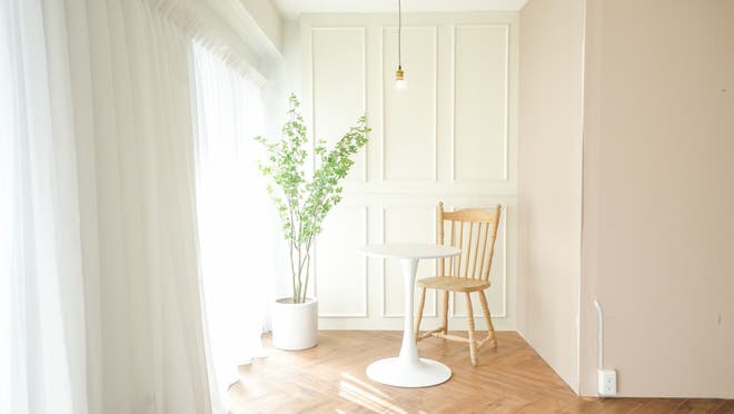 OPEN記念割🌿自然光差し込む撮影スタジオ☀️背景6種×撮影機材📸千駄ヶ谷|バースデーフォト、推し活、ポートレート撮影の写真9