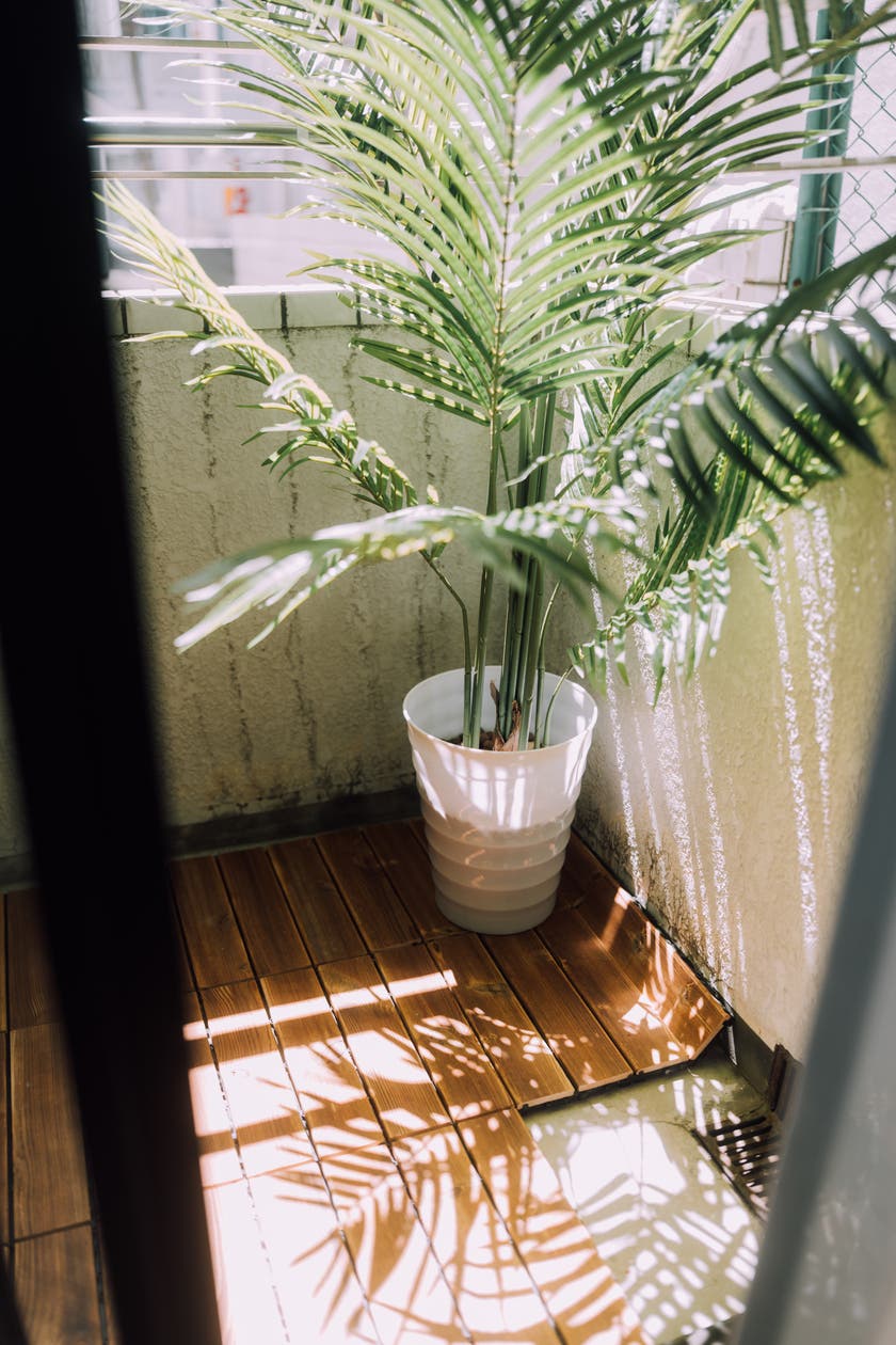 新宿徒歩圏｜ネオンおしゃれ空間｜女子会・撮影・ママ会・パーティー｜最大10名の写真26