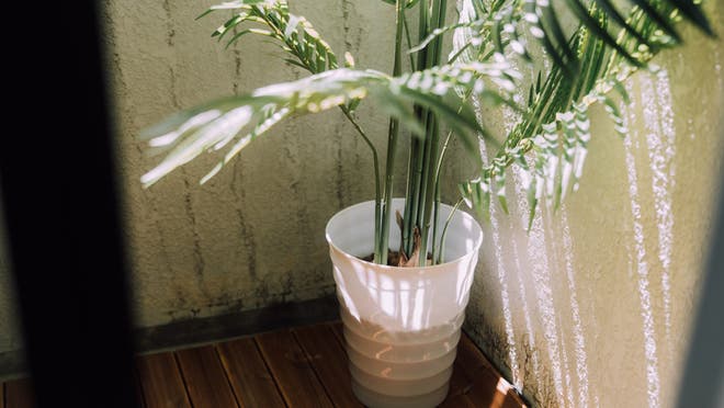 新宿徒歩圏|ネオンおしゃれ空間|女子会・撮影・ママ会・パーティー|最大10名の写真26