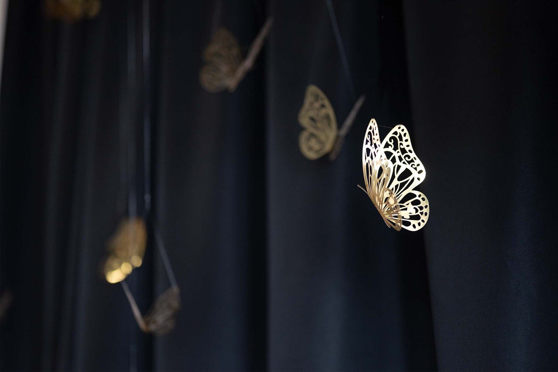 ‎💗新規OPEN♥Black&Red💖ゴシック調｜SNS話題｜南向き｜ポートレート｜コスプレ｜推し活｜配信｜商用利用の写真15