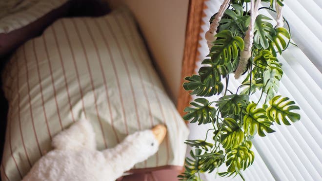 桜上水駅徒歩1分/デザイナーズ/自然光/ベランダ/一人暮らしインテリア/韓国インテリア/和室の写真15