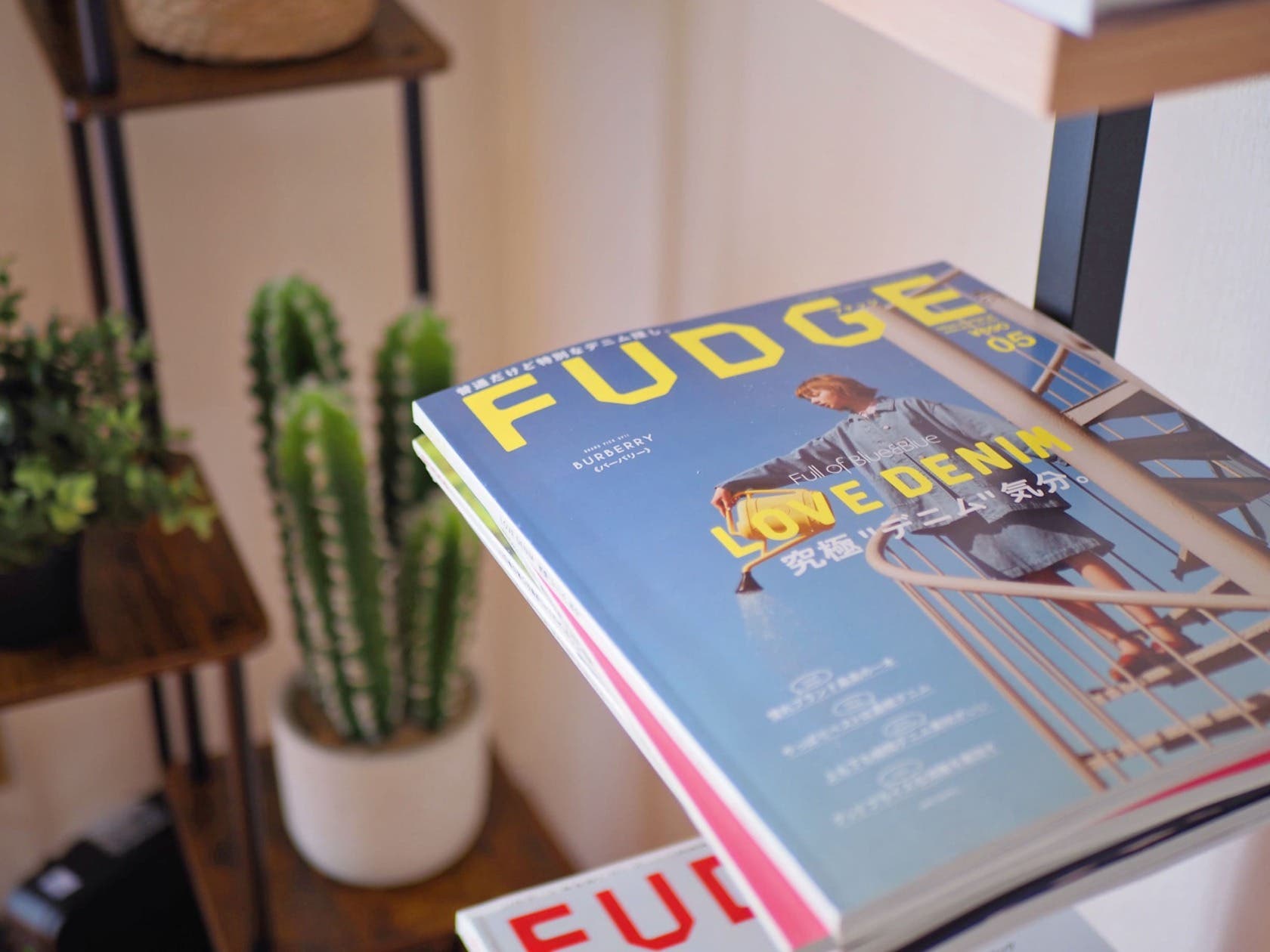 桜上水駅徒歩1分/デザイナーズ/自然光/ベランダ/一人暮らしインテリア/韓国インテリア/和室の写真17