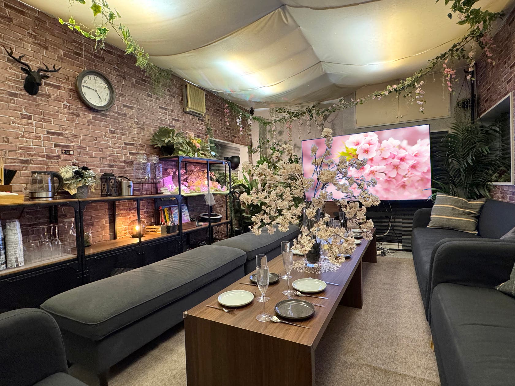 🌸インドア花見開催中!!🌸神田駅徒歩5分🚃本格電気式ピザ窯🍕75インチ大画面テレビ📺 14名ソファー席🛋️の写真1