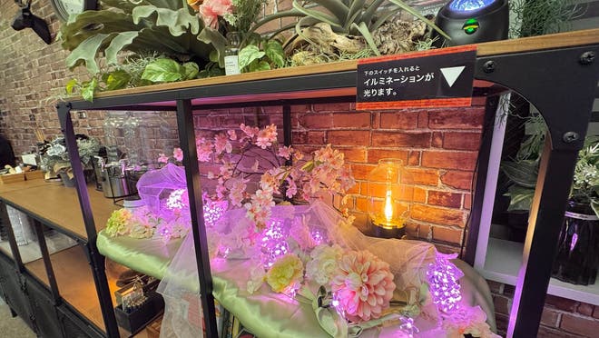 🌸インドア花見開催中!!🌸神田駅徒歩5分🚃本格電気式ピザ窯🍕75インチ大画面テレビ📺 14名ソファー席🛋️の写真3