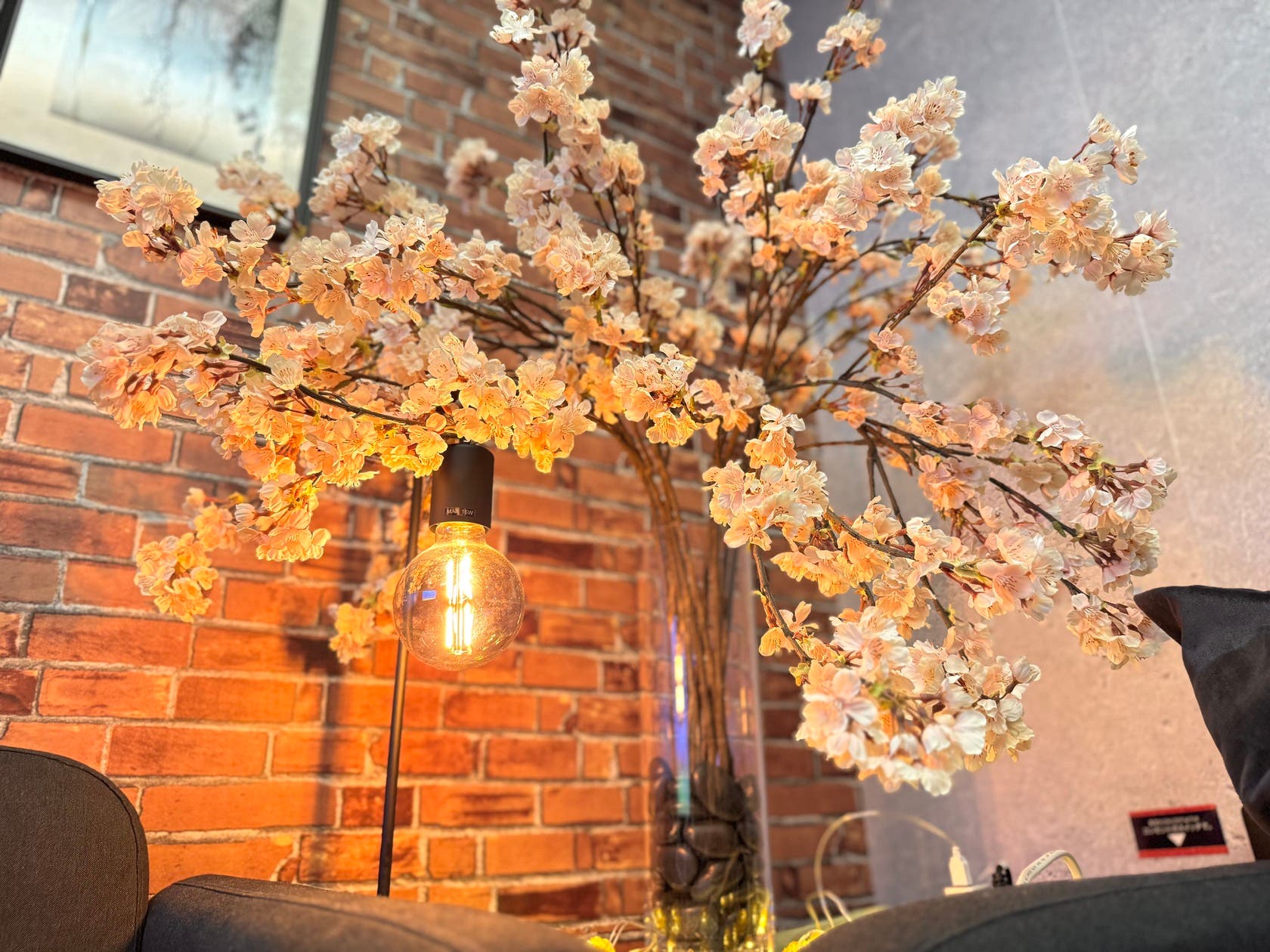 🌸インドア花見開催中!!🌸神田駅徒歩5分🚃本格電気式ピザ窯🍕75インチ大画面テレビ📺 14名ソファー席🛋️の写真5