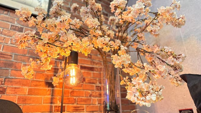 🌸インドア花見開催中!!🌸神田駅徒歩5分🚃本格電気式ピザ窯🍕75インチ大画面テレビ📺 14名ソファー席🛋️の写真5