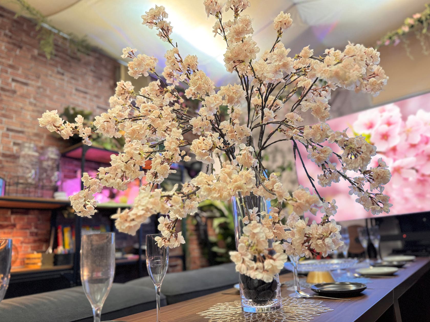 🌸インドア花見開催中!!🌸神田駅徒歩5分🚃本格電気式ピザ窯🍕75インチ大画面テレビ📺 14名ソファー席🛋️の写真7