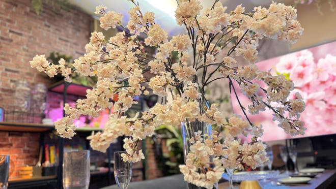 🌸インドア花見開催中!!🌸神田駅徒歩5分🚃本格電気式ピザ窯🍕75インチ大画面テレビ📺 14名ソファー席🛋️の写真7