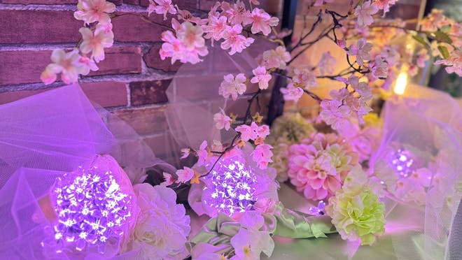 🌸インドア花見開催中!!🌸神田駅徒歩5分🚃本格電気式ピザ窯🍕75インチ大画面テレビ📺 14名ソファー席🛋️の写真4