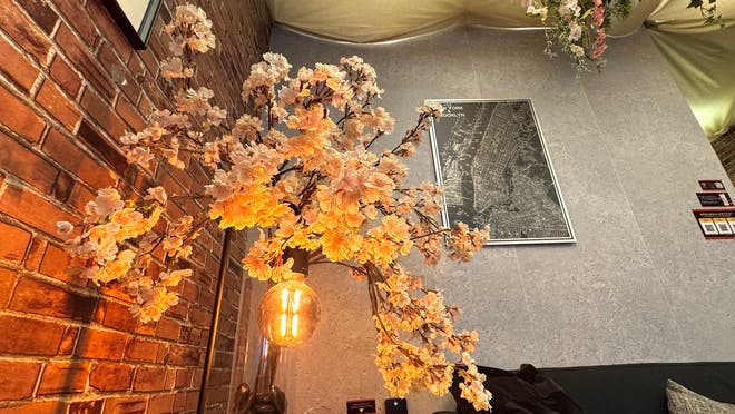 🌸インドア花見開催中!!🌸神田駅徒歩5分🚃本格電気式ピザ窯🍕75インチ大画面テレビ📺 14名ソファー席🛋️の写真6