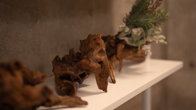 【二子玉川10分/41㎡長方形空間】撮影会社運営のスタジオ&遊び場|撮影,イベント,個展,オフ会|プロ機材,ミニキッチン,小物の写真10