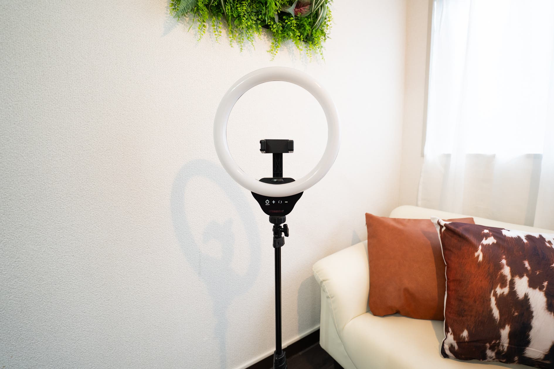 🆕TBSから一番近い会議室赤坂駅1分☀️コワーキング💻パーティー懇親会🍾完全個室空間✨の写真12