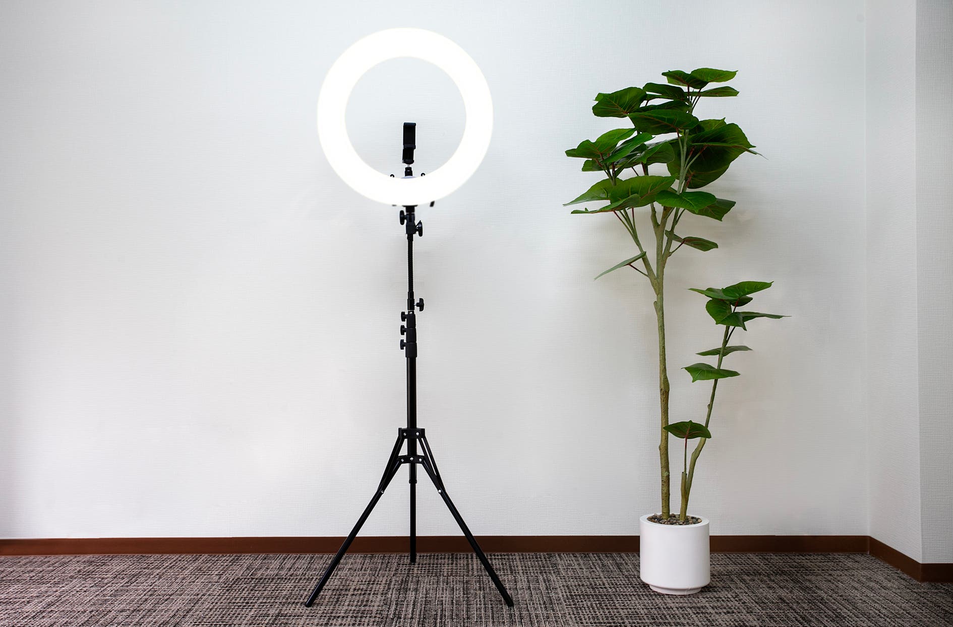 Newオープン！水天宮前4分/人形町6分/茅場町6分、会議、セミナー、懇親会（アルコール持込みOK）、撮影、ボドゲ！最大30名！の写真18