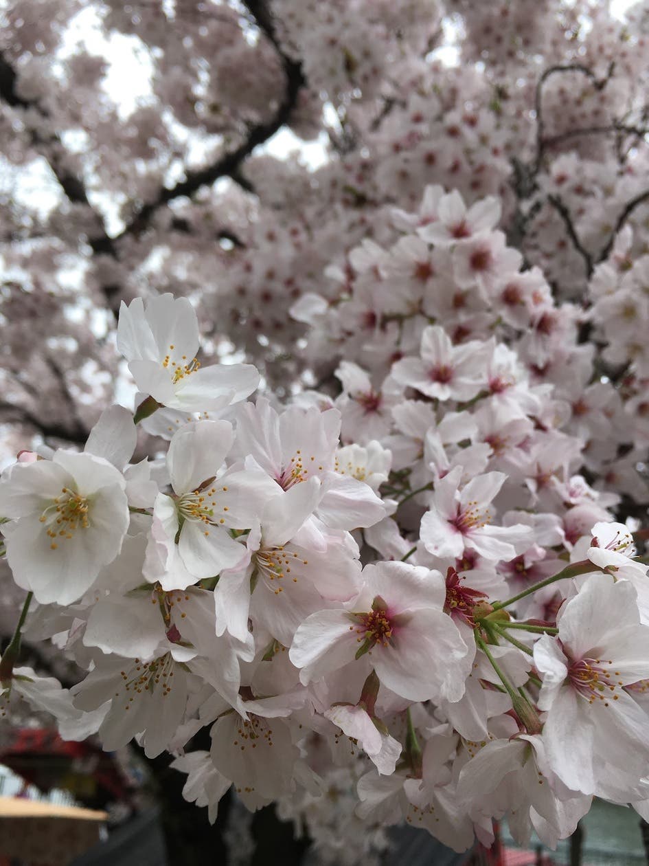 【天満橋徒歩5分】安藤忠雄建築のTSビルB１デザイナーズスペースの写真21