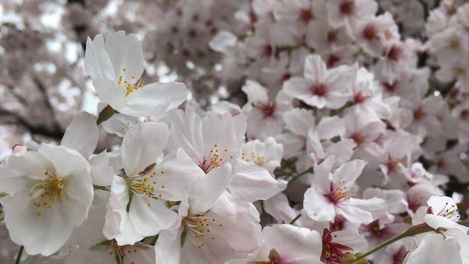 【天満橋徒歩5分】安藤忠雄建築のTSビルB1デザイナーズスペースの写真21