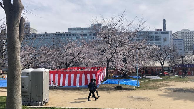 【天満橋徒歩5分】安藤忠雄建築のTSビルB1デザイナーズスペースの写真23