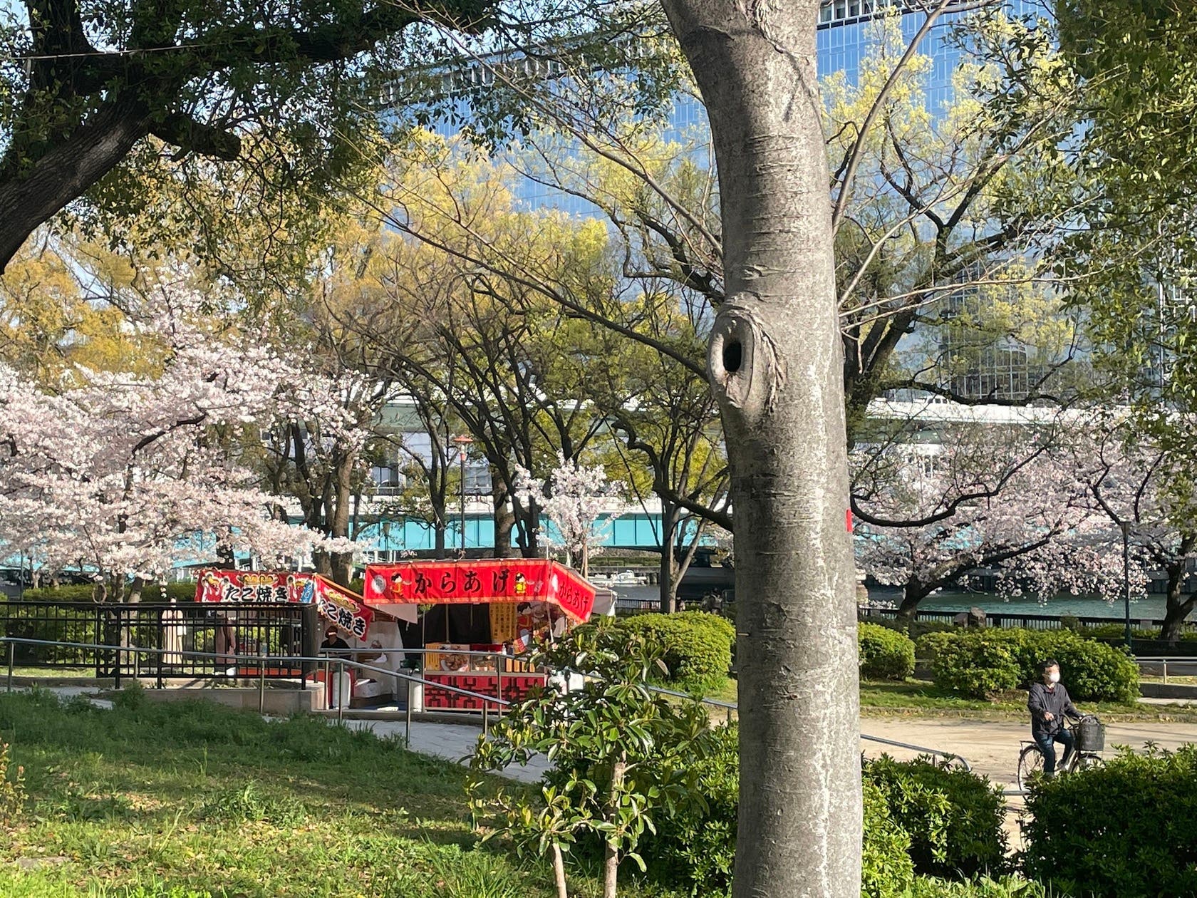 【天満橋徒歩5分】安藤忠雄建築のTSビルB１デザイナーズスペースの写真25