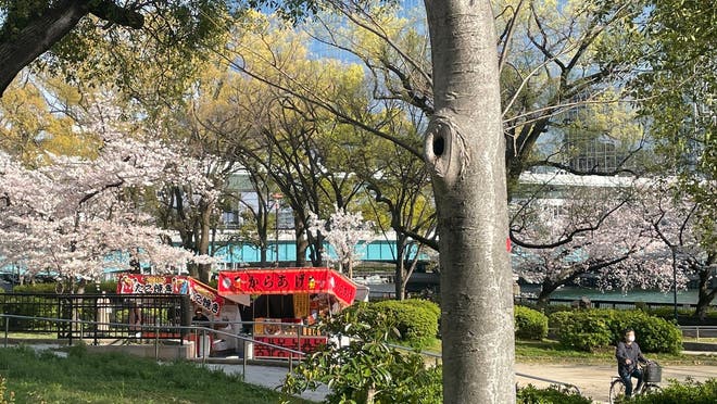 【天満橋徒歩5分】安藤忠雄建築のTSビルB1デザイナーズスペースの写真25