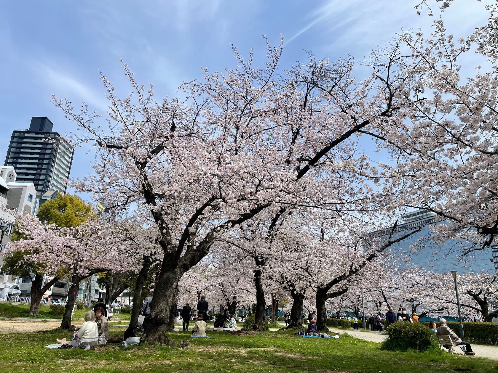 【天満橋徒歩5分】安藤忠雄建築のTSビルB１デザイナーズスペースの写真26