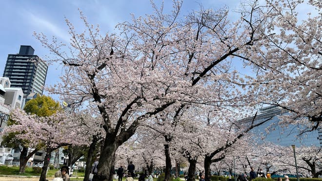 【天満橋徒歩5分】安藤忠雄建築のTSビルB1デザイナーズスペースの写真26