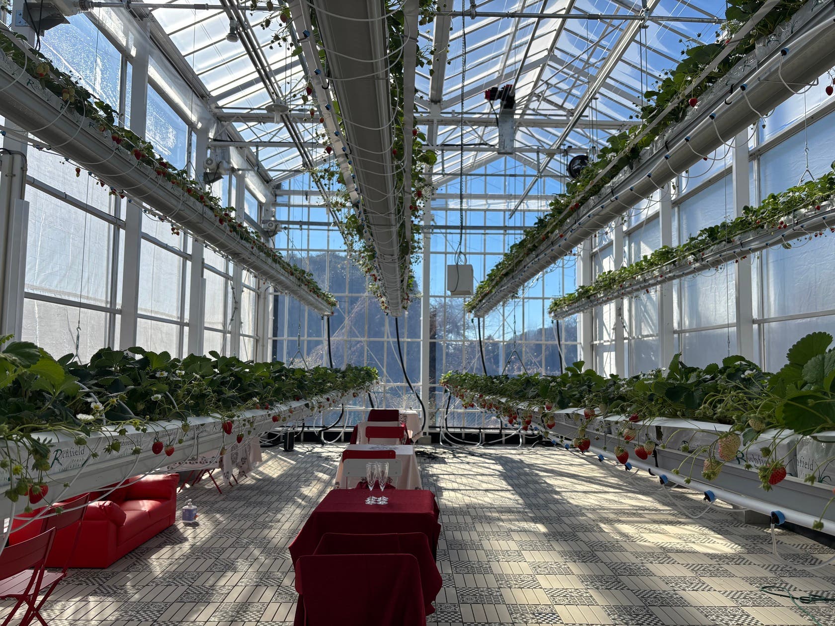 天井7.5mから苺が吊り下がる「苺空間」を多目的に利用可能。貸切パーティー、会議、TV映画撮影、料理スタジオ、フォト婚その他の写真1