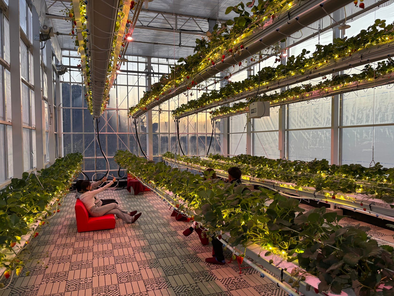 天井7.5mから苺が吊り下がる「苺空間」を多目的に利用可能。貸切パーティー、会議、TV映画撮影、料理スタジオ、フォト婚その他の写真2