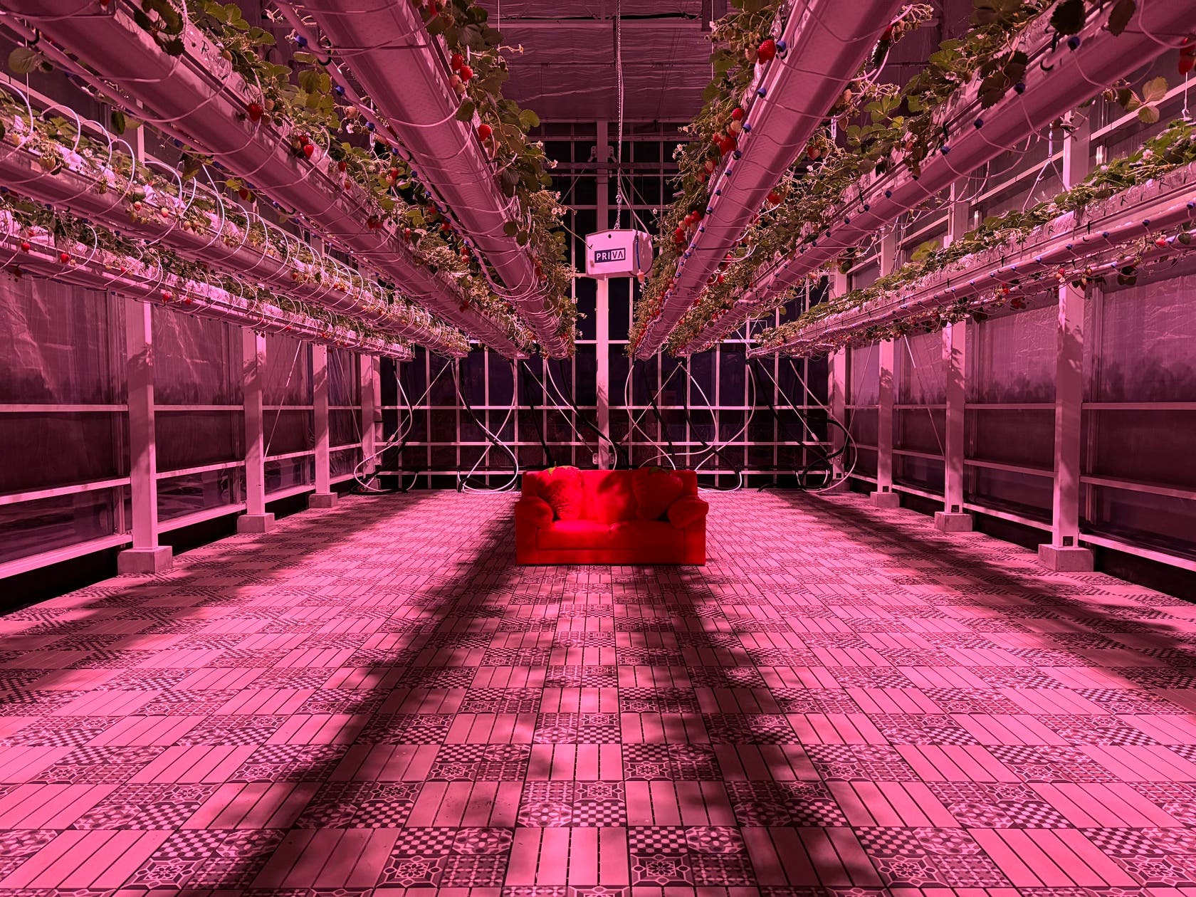 天井7.5mから苺が吊り下がる「苺空間」を多目的に利用可能。貸切パーティー、会議、TV映画撮影、料理スタジオ、フォト婚その他の写真3