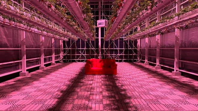 天井7.5mから苺が吊り下がる「苺空間」を多目的に利用可能。貸切パーティー、会議、TV映画撮影、料理スタジオ、フォト婚その他の写真3