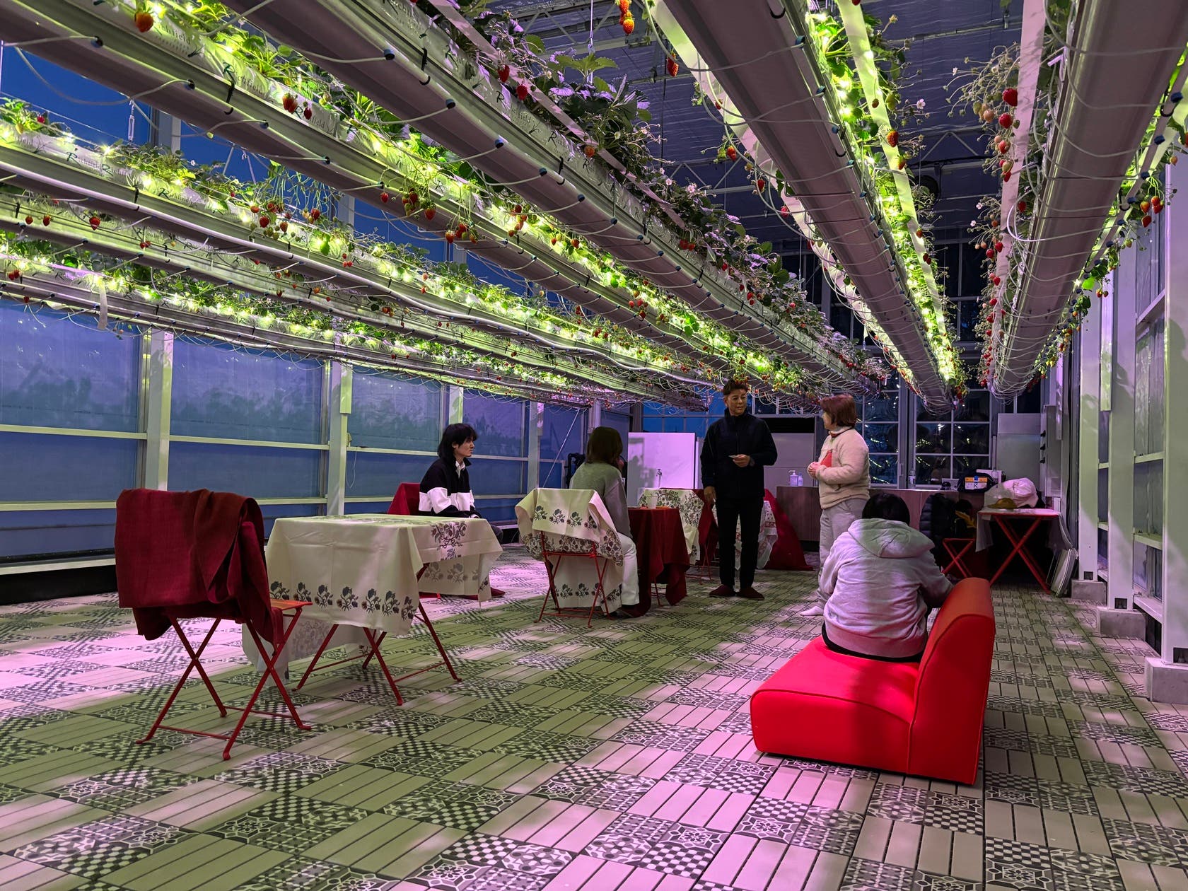 天井7.5mから苺が吊り下がる「苺空間」を多目的に利用可能。貸切パーティー、会議、TV映画撮影、料理スタジオ、フォト婚その他の写真4