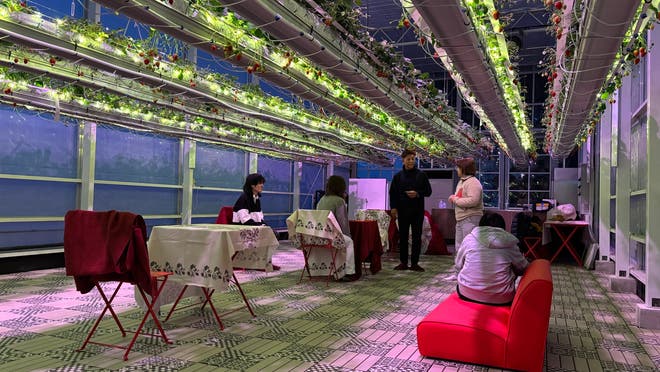 天井7.5mから苺が吊り下がる「苺空間」を多目的に利用可能。貸切パーティー、会議、TV映画撮影、料理スタジオ、フォト婚その他の写真4