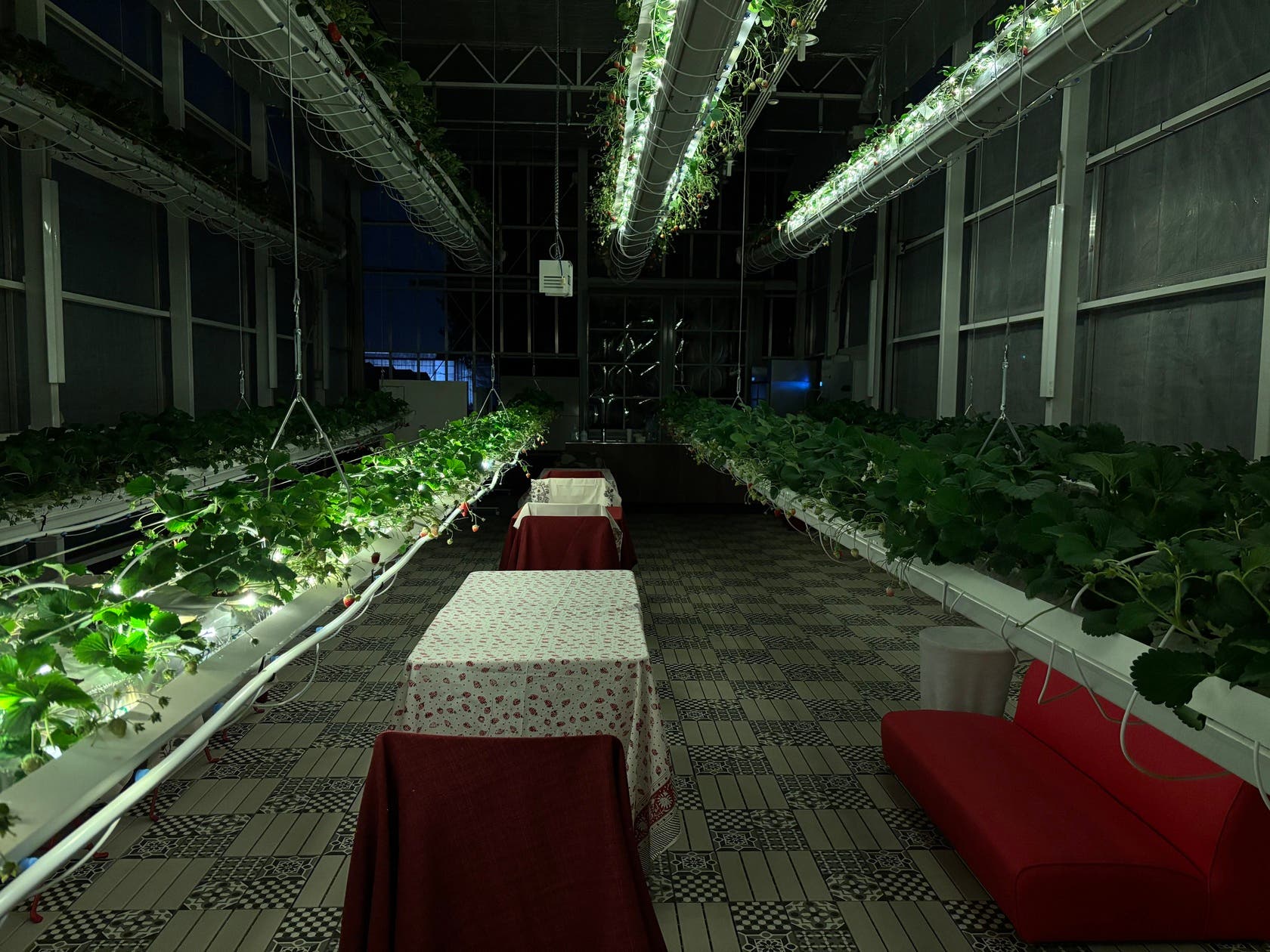 天井7.5mから苺が吊り下がる「苺空間」を多目的に利用可能。貸切パーティー、会議、TV映画撮影、料理スタジオ、フォト婚その他の写真5