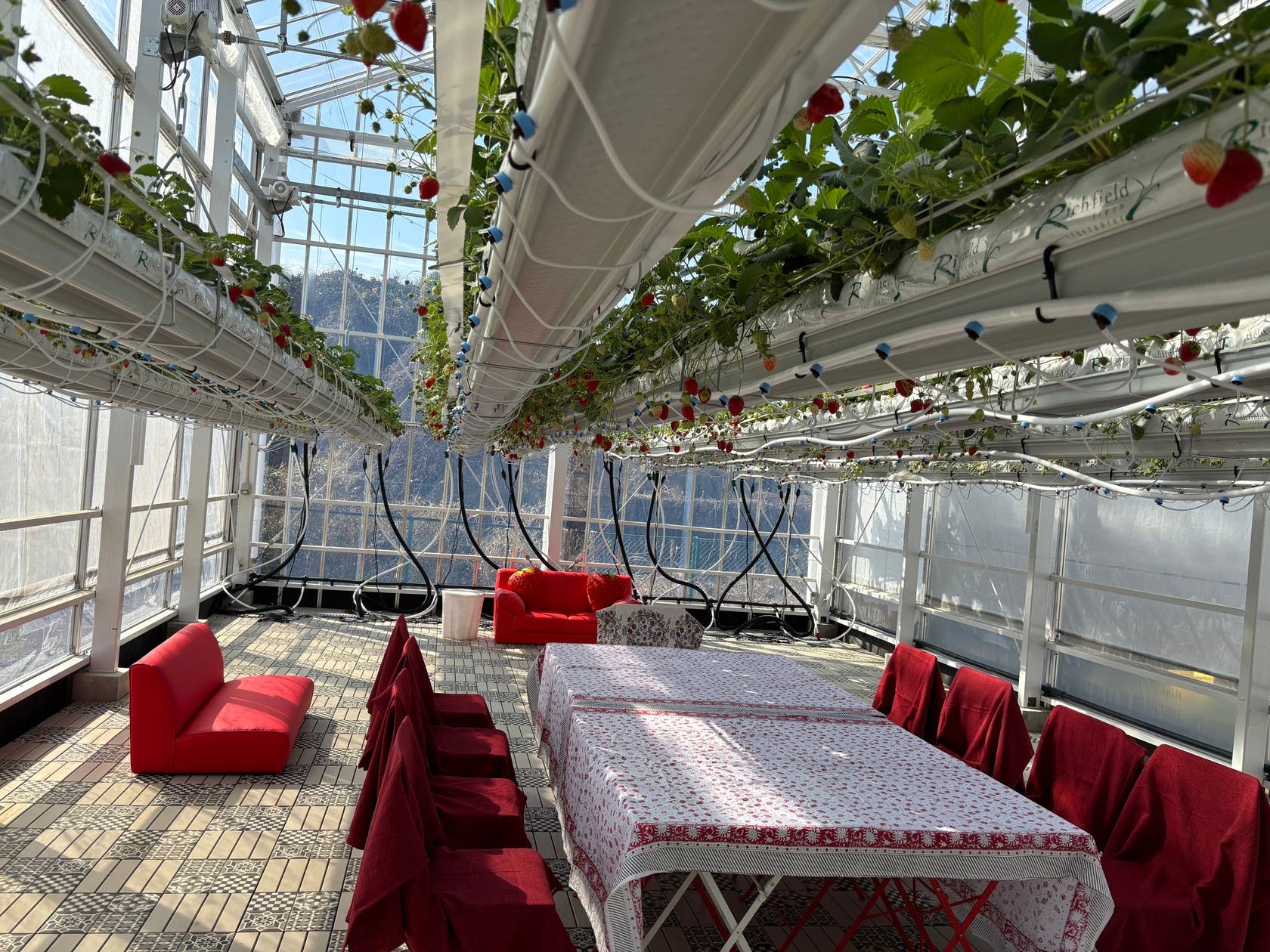 天井7.5mから苺が吊り下がる「苺空間」を多目的に利用可能。貸切パーティー、会議、TV映画撮影、料理スタジオ、フォト婚その他の写真7