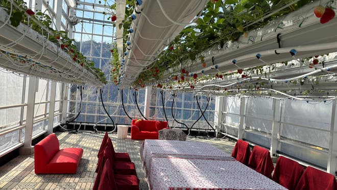 天井7.5mから苺が吊り下がる「苺空間」を多目的に利用可能。貸切パーティー、会議、TV映画撮影、料理スタジオ、フォト婚その他の写真7