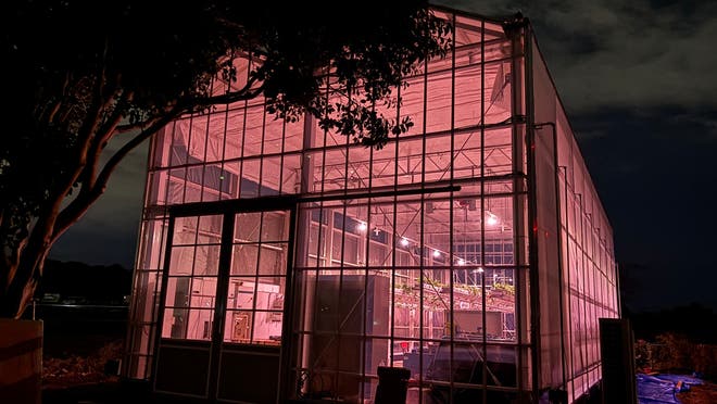 天井7.5mから苺が吊り下がる「苺空間」を多目的に利用可能。貸切パーティー、会議、TV映画撮影、料理スタジオ、フォト婚その他の写真10