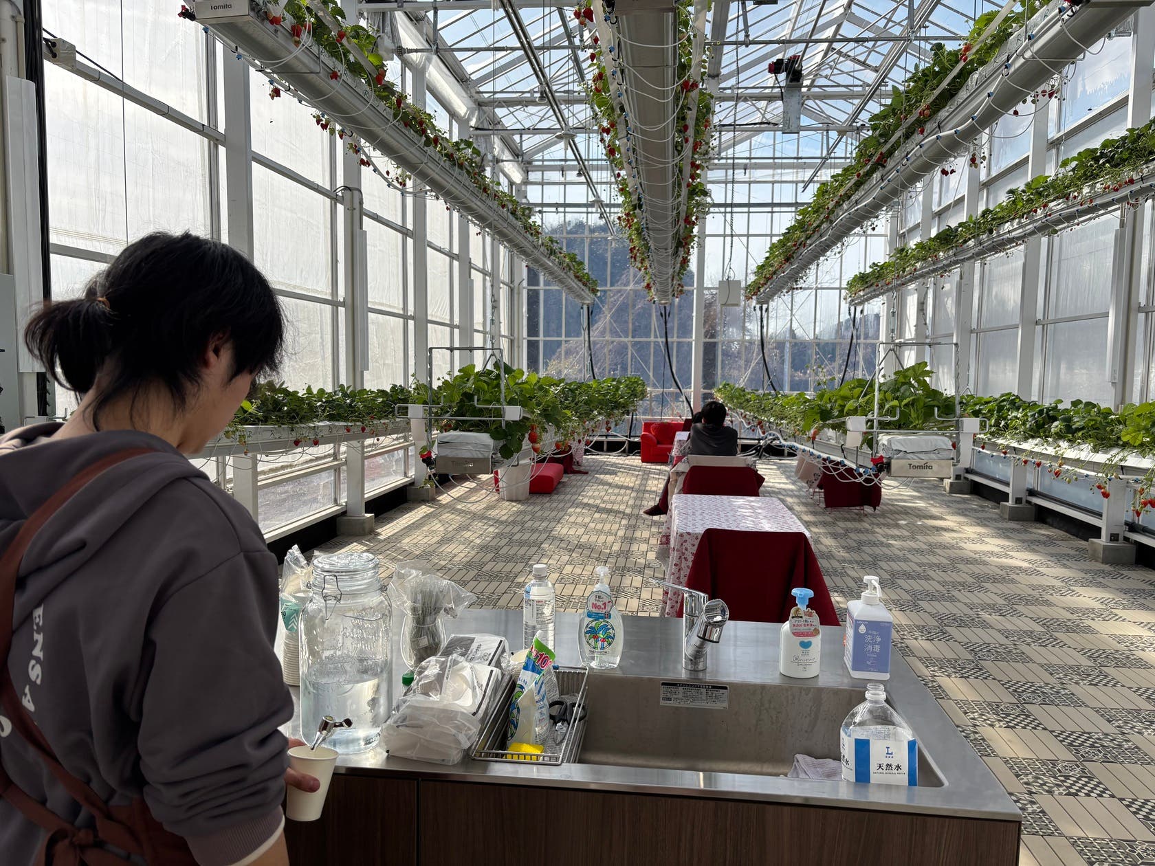 天井7.5mから苺が吊り下がる「苺空間」を多目的に利用可能。貸切パーティー、会議、TV映画撮影、料理スタジオ、フォト婚その他の写真13