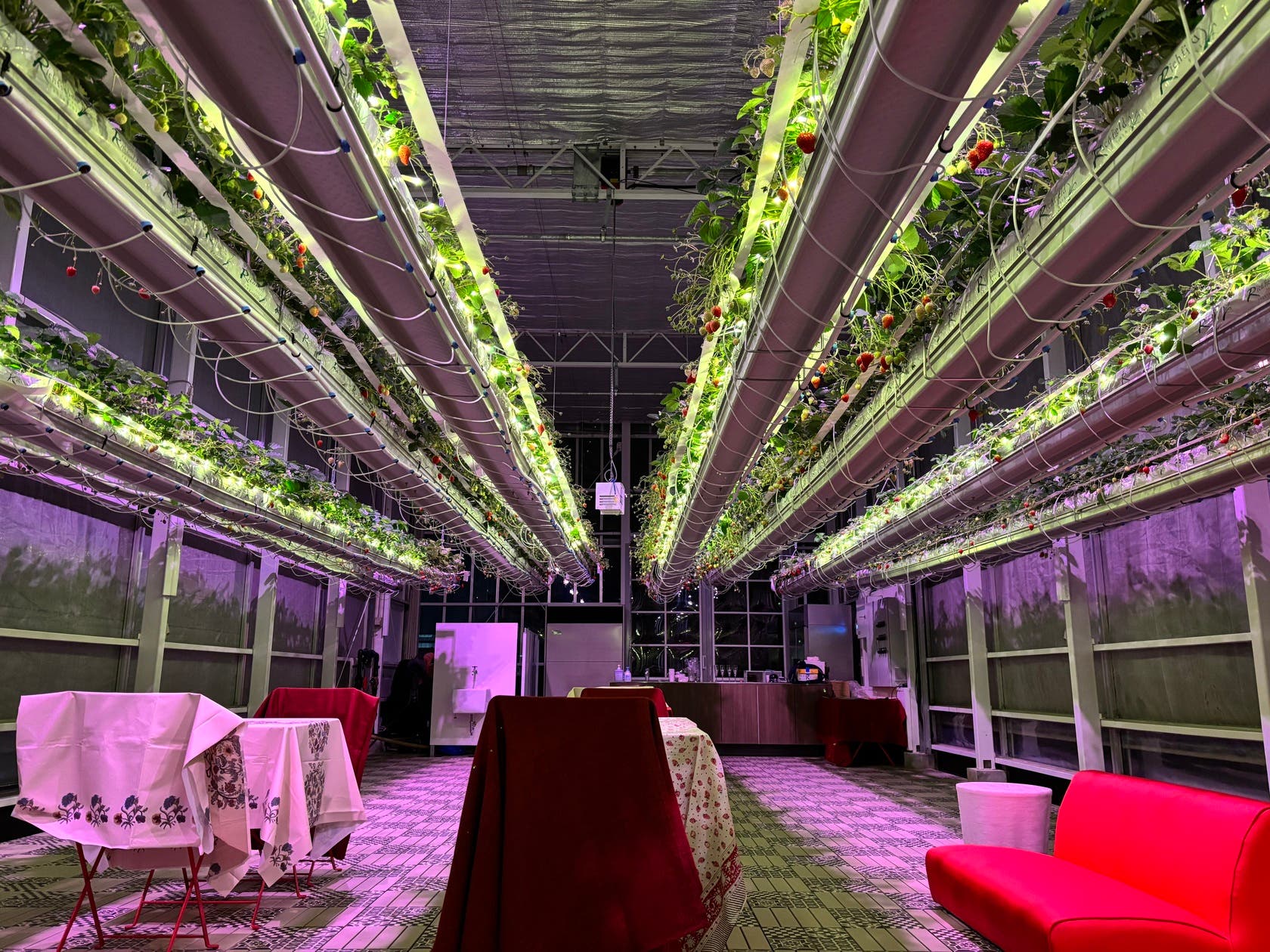 天井7.5mから苺が吊り下がる「苺空間」を多目的に利用可能。貸切パーティー、会議、TV映画撮影、料理スタジオ、フォト婚その他の写真16