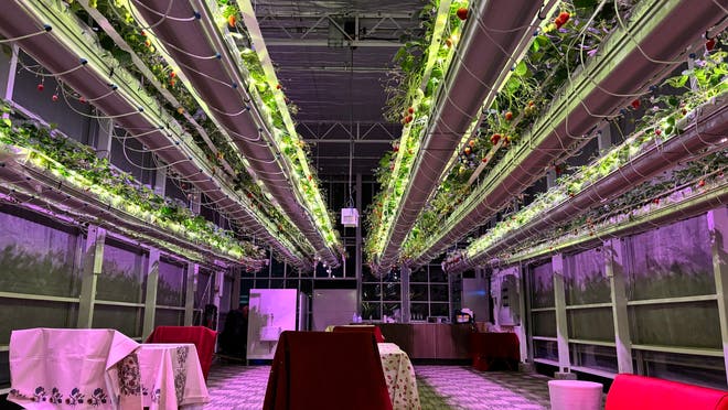 天井7.5mから苺が吊り下がる「苺空間」を多目的に利用可能。貸切パーティー、会議、TV映画撮影、料理スタジオ、フォト婚その他の写真16